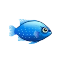 Blue Devil Damsel | FishVille Wiki | Fandom