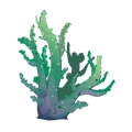 Neon Green Nepthea | FishVille Wiki | Fandom