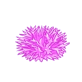 Pink Birdsnest Coral | FishVille Wiki | Fandom