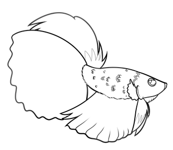 Fish bases | FishWing Wiki | Fandom