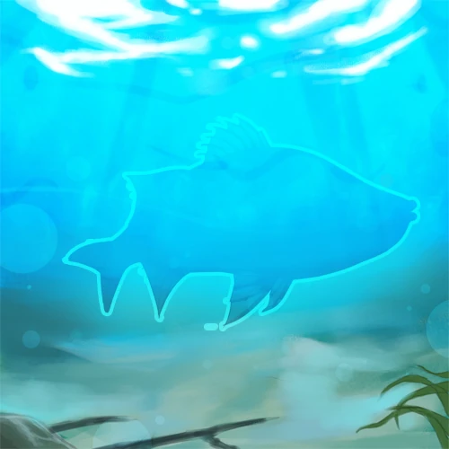 White Bass Fish | Fish Wrangler Wiki | Fandom