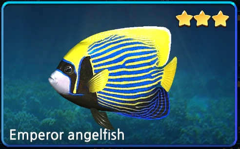 Emperor Angelfish | Fishing Hook Wiki | Fandom
