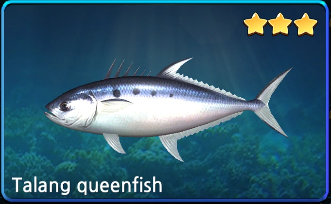 Talang Queenfish | Fishing Hook Wiki | Fandom