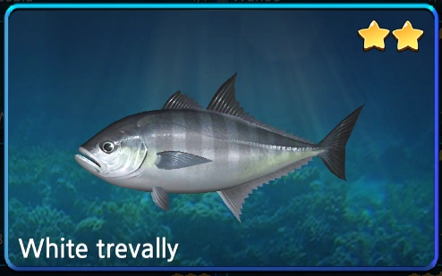 White Trevally | Fishing Hook Wiki | Fandom