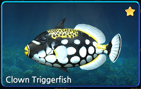 Clown Triggerfish | Fishing Hook Wiki | Fandom