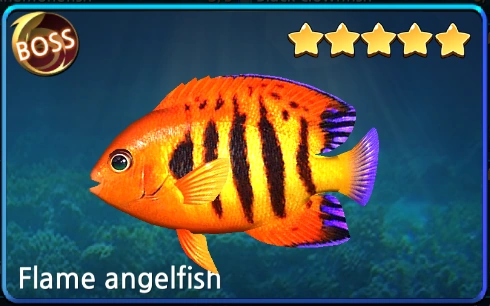 Flame Angelfish | Fishing Hook Wiki | Fandom