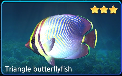 Triangle Butterflyfish | Fishing Hook Wiki | Fandom