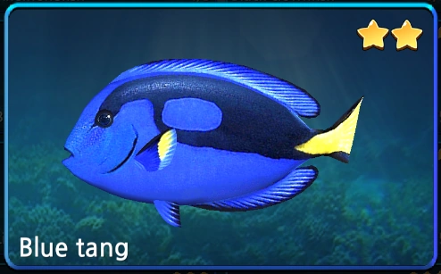 Blue Tang | Fishing Hook Wiki | Fandom