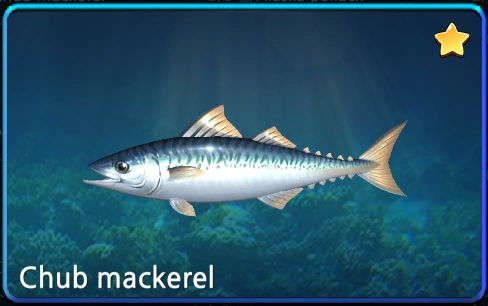 Chub Mackerel | Fishing Hook Wiki | Fandom