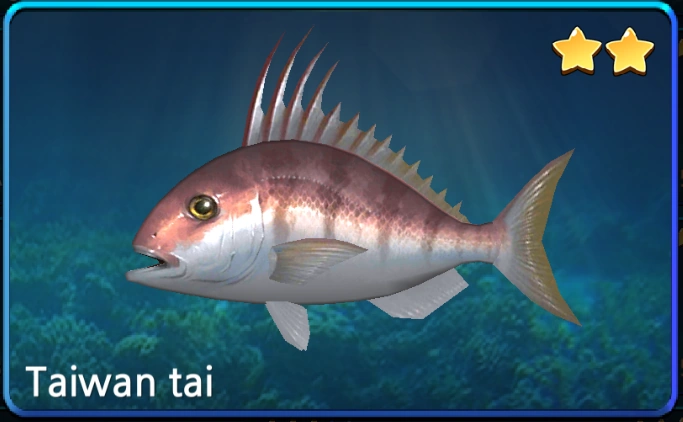 Taiwan Tai | Fishing Hook Wiki | Fandom