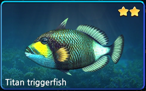 Titan Triggerfish | Fishing Hook Wiki | Fandom