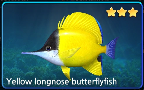 Category:Mauritius Fish | Fishing Hook Wiki | Fandom