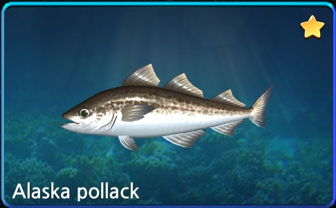 Alaska Pollack | Fishing Hook Wiki | Fandom