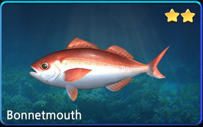 Bonnetmouth | Fishing Hook Wiki | Fandom