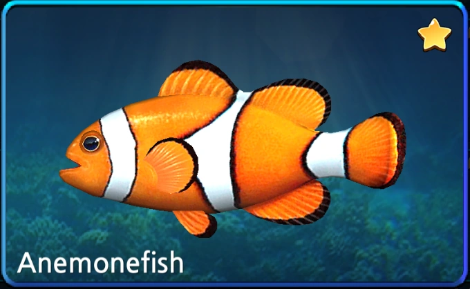 Anemonefish | Fishing Hook Wiki | Fandom