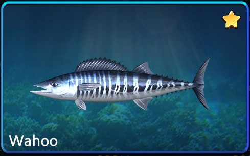 Wahoo | Fishing Hook Wiki | Fandom