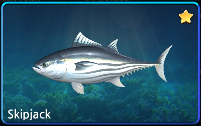 Skipjack | Fishing Hook Wiki | Fandom