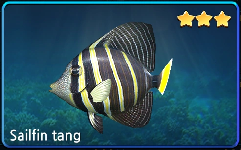 Sailfin Tang | Fishing Hook Wiki | Fandom
