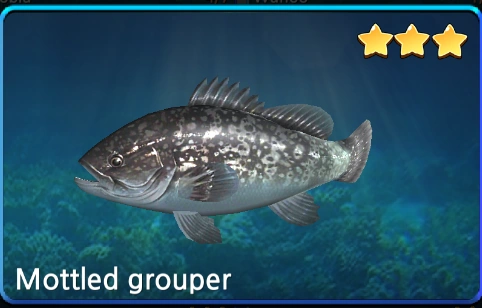 Mottled Grouper | Fishing Hook Wiki | Fandom