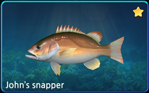 John's Snapper | Fishing Hook Wiki | Fandom