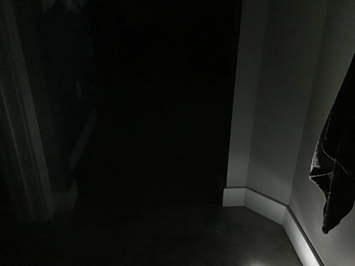 Main Hall | Five Nights at Feathers Wiki | Fandom
