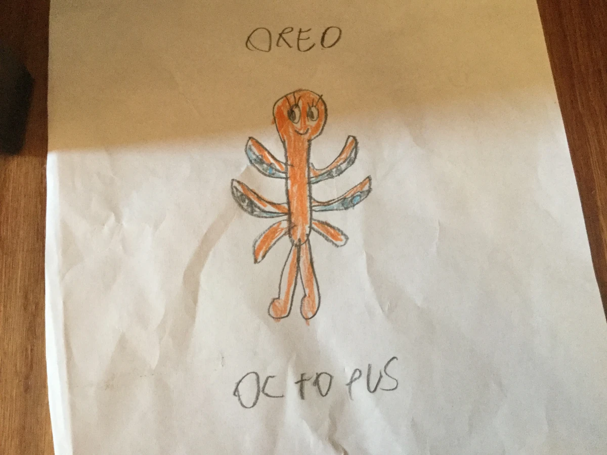 Oreo | Five Nights at Freddy's Fanon Wiki | Fandom