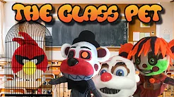 The Class Pet | Five Nights at Froakies Wiki | Fandom