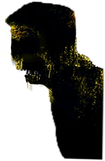 Phantom Golden Leopold | Five Nights at The AGK Studio Wiki | Fandom