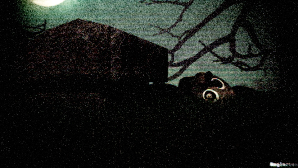 The Neglected Face | Five Nights At Treasure Island Lost Hope Wiki | Fandom