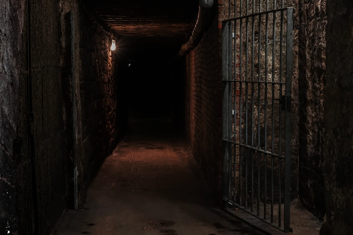The Cellar (Gray City) | Five Nights at Wario's Wiki | Fandom