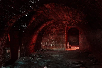 Cellar (FSaW) | Five Nights at Wario's Wiki | Fandom