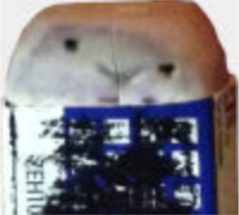 Night 5 | Five Nights At Winstons Wiki | Fandom