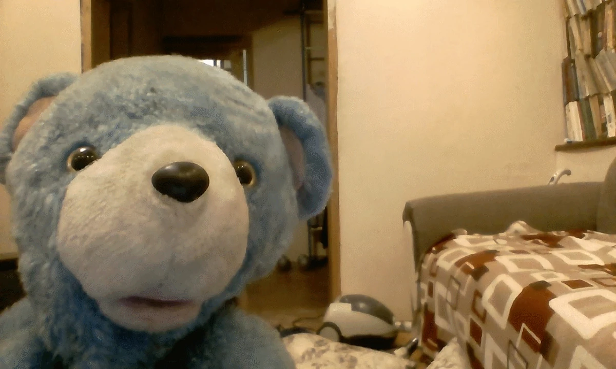 Teddy Bear | Five Nights with Barsik Wiki | Fandom