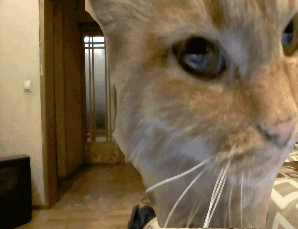 Matilda | Five Nights with Barsik Wiki | Fandom