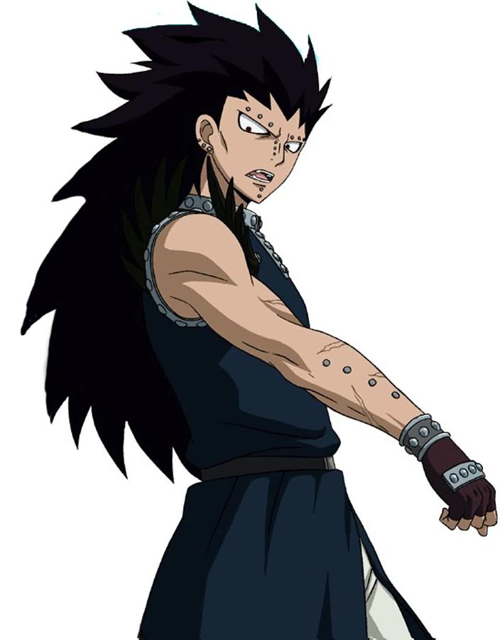 Avgift Og Gajeel Gajevy | Fairy Tail Couples Wiki | Fandom