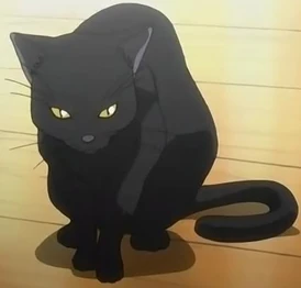 Yoruichi Shihōin | Five World War Wikia | Fandom