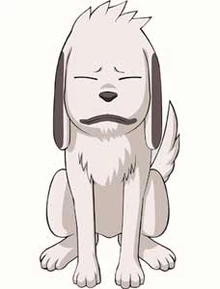 Akamaru | Five World War Wikia | Fandom