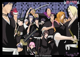 Gotei 13 | Five World War Wikia | Fandom