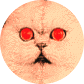 Discuss Everything About Five(infinite) nights at build to survive the ...