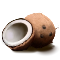 Coconut | FJ Items Database Wiki | Fandom