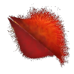 Fire Seed | FJ Items Database Wiki | Fandom