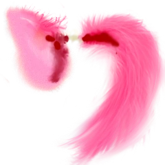 Pink Pony Tail | FJ Items Database Wiki | Fandom