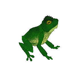 Toad | FJ Items Database Wiki | Fandom