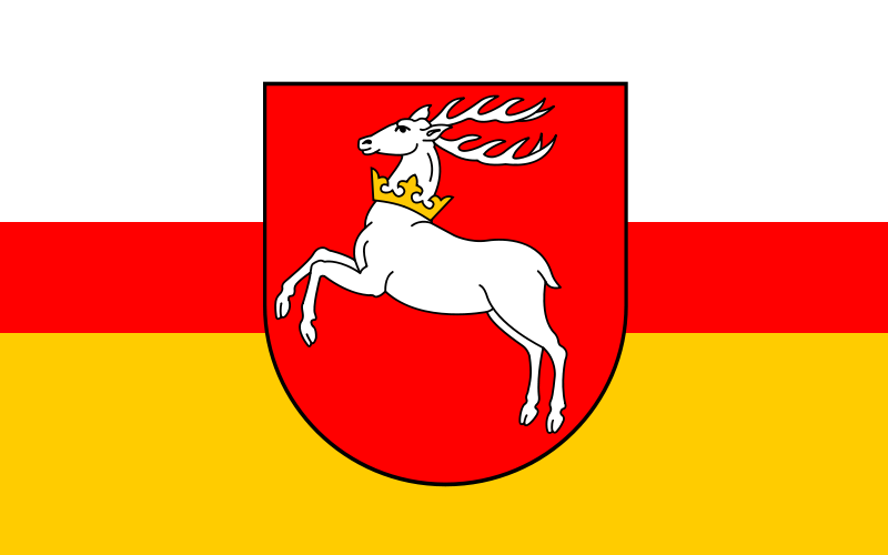 Flag of the Lublin Voivodeship | Flages Wiki | Fandom