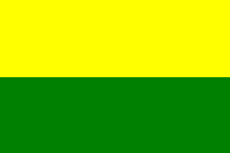 Flag of Vichada | Flages Wiki | Fandom