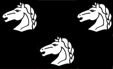 Flag of Powys | Flages Wiki | Fandom