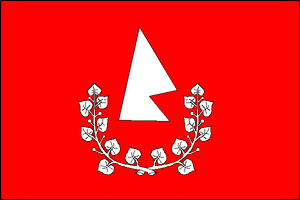 Flag of Česká | Flages Wiki | Fandom