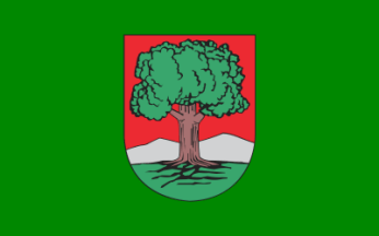 Flag of Wałbrzych | Flages Wiki | Fandom