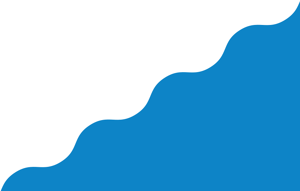 Flag of Emmaste | Flages Wiki | Fandom