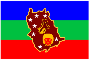 Flag of Amazonas State (Venezuela) | Flages Wiki | Fandom